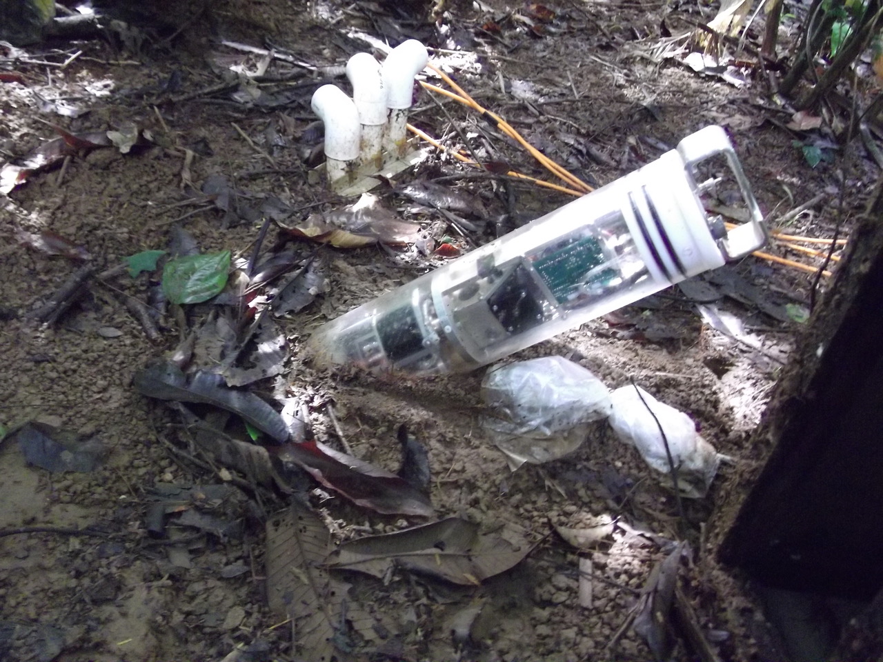 Automated Mini Rhizotron – RhizoSystems, LLC